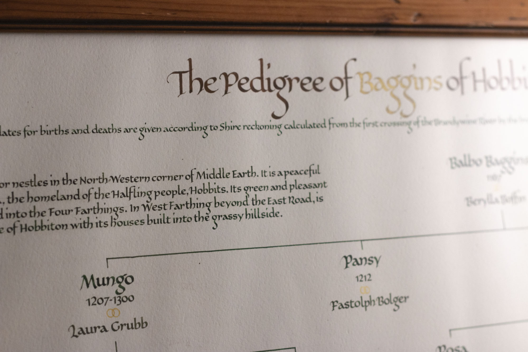 Gallery - The Pigsty Studio